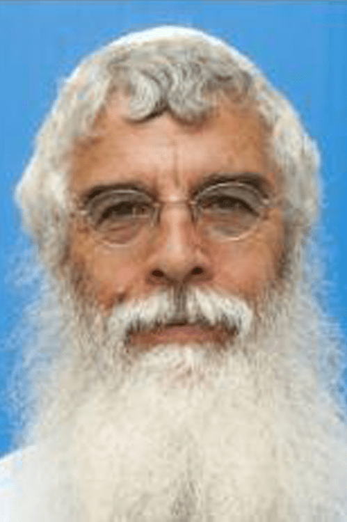 Rabbi Dov Singer - הרצוג